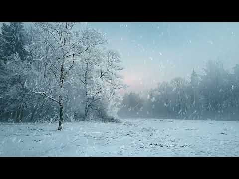 3 Hour Snowfall Forest Scene Calm Winter Ambience