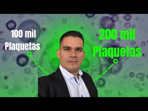 Interpretation of Thrombocytopenia / Thrombocytosis in the Complete Blood Count of Canines and Fe...