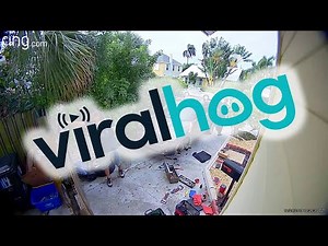 Hearing Screams Neighbor Calls Police Not Realizing It Was a Parrot