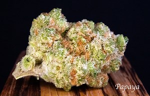 Papaya | Marijuana Strain Reviews