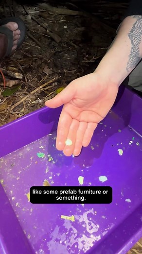 5.2K views · 224 reactions | While I was on Lord Howe Island, I...