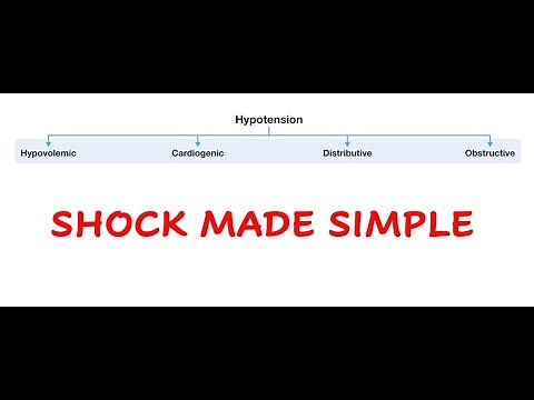 Approach to Hypotension: A Clinical Framework for Shock