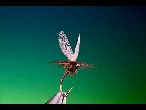 Fly Tying a Wally wing quill emerger fly with Barry Ord Clarke
