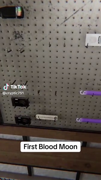 Understanding the Blood Moon: Meaning and History