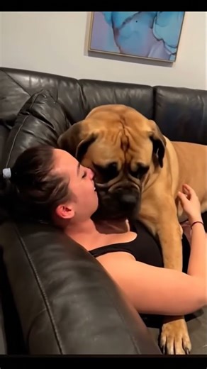 #pet #dogs #doglife #puppy #petlovers #cuteanimals #a276