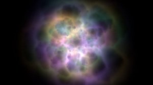 Crustacean, Arthropod, Black