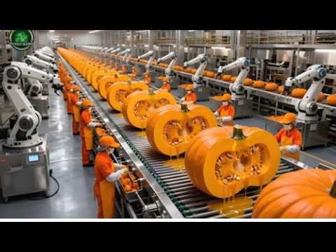 Inside the Mega Pumpkin Processing Factory: From Field to Puree