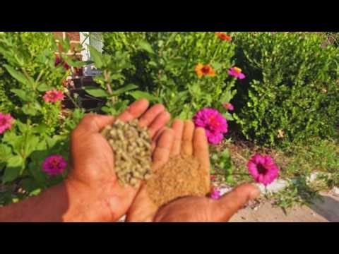 How to Chose the Best Soil for A Epic Garden