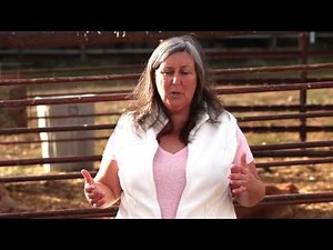 How To Make Cheese | Life On A Dairy Farm