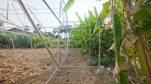 36K reactions · 856 shares | ISI GROUP...