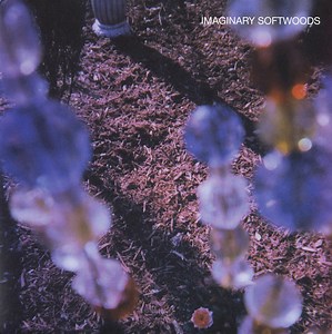 Imaginary Softwoods - The Path Of Spectrolite