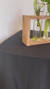 Hand Made Box Propagation Station Science Style Oak and Walnut - Etsy UK