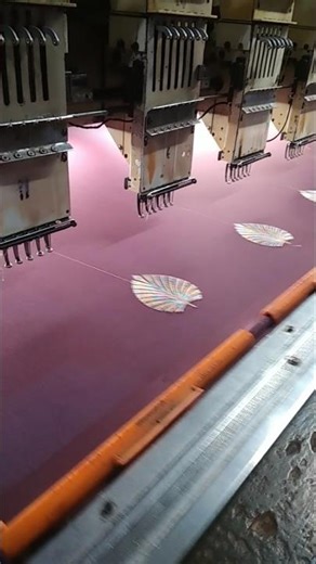 28 December 2025 Mantu block 8260#Mantu Dev#8