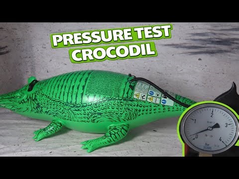 Pop inflatable - Inflation Experiment How Big Can the Intex Crocodile Get 🐊💨