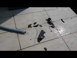 Cleaning a 2 Years Old Washing Machine Drain Hose [GROSS]