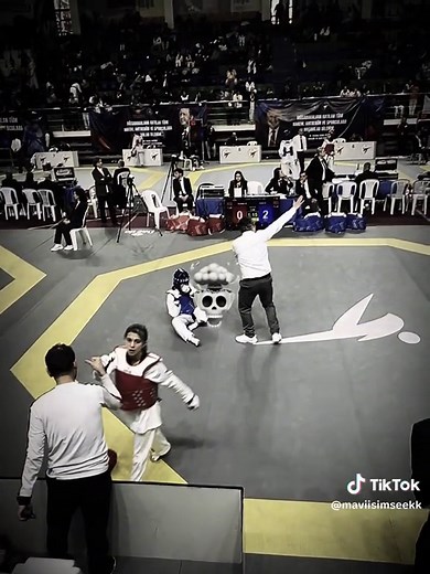 Taekwondo Knockout Techniques for Aspiring Fighters