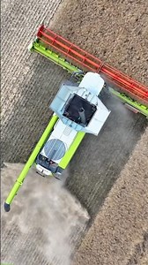 Oil Seed Harvest CLAAS Lexion 8800 combine Harvester