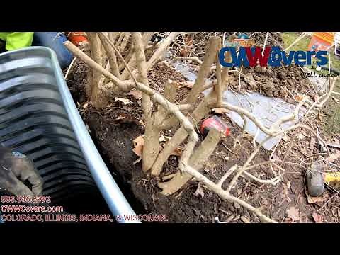 Replacement of Rusty Basement Window Well