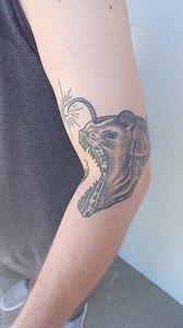 Healed angler fish tattoo by Lindy. | Queen City Classic Tattoos