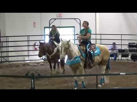 "Trick Riding 101 Clinic" - Trixie Chicks Trick Riders