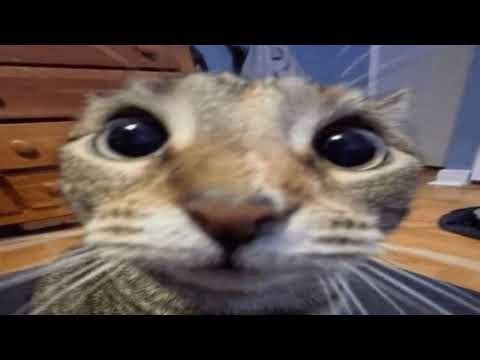 🔴 FREE 10,000,000 ROBUX GIVEAWAY LIVE! 🔴 (FREE ROBUX)