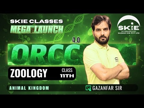 ORCC 2025 || Class 11th || Lecture-01 || Animal Kingdom || Zoology || SKIE CLASSES #orcc #jkbose