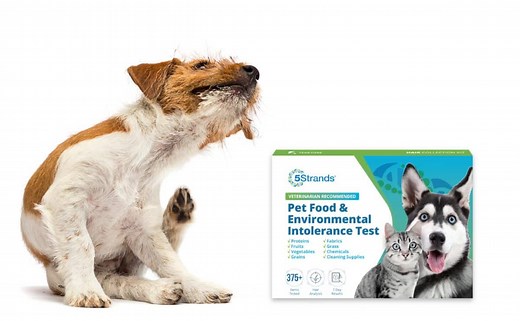 Dog Allergy Testing: How Much Does It Cost And Is It Worth It? We Review The 5 Best At-Home Tests