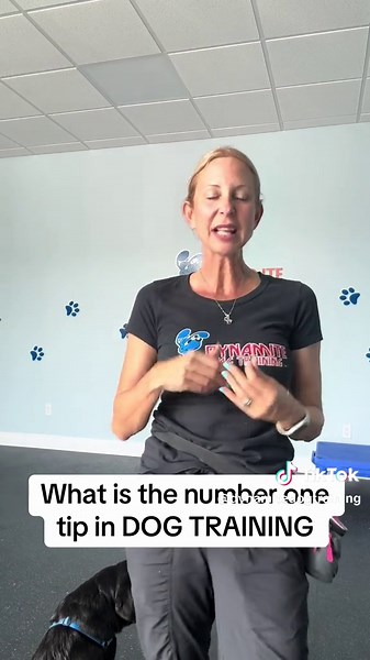 Essential Dog Training Tips for New Owners