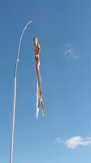 SUN IS OUT ,GET EM OUT ,DEAD ROSES IS ALIVEXAND WELL ,ORDER FINE ART PRINTS ,CANVAS OR HEAVY ART PAPER ,FRAMED OR NAKED ,up too 1200mm x 1200mm ,email me for orders andxpricing ,wgholmes57@gmail.com, kindxregards wayneholmesart | Wayne Holmes