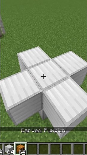 Le Double Golem caché de Minecraft - FuzeIII