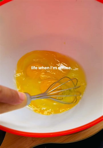 The Lazy V L O G on TikTok