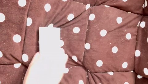 2 Pack Pet Hair Scraper Remover Reusable Auto Detailing Cleaner Brush Dog and Cat Hair Removal Tool for Couch, Carpet, Car Interiors, Furniture and Bedding