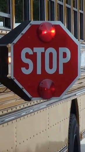 REMINDER: It is illegal to pass a school bus with its stop arm extended and red lights flashing. When you see the red lights flashing, it means children are either getting on or off the bus and may cross the road. Drivers must stop at least 20 feet from the bus whether approaching from either direction, except if you’re traveling on the other side of a divided road that’s separated by a physical barrier or median. #SchoolBusSafetyWeek | Wisconsin Department of Transportation