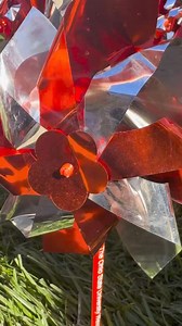 568 reactions · 180 shares | 12,500 pinwheels; thousands of organ transplant recipients, living donors, donor families and loved ones; an immeasurable amount of love ❤️ Thanks to everyone who helped us plant our pinwheel garden today! Each pinwheel represents a solid organ transplant completed at #OSUWexMed. Learn more about how to become an organ donor: https://go.osu.edu/Cpbu #Buckeye4Life #DonateLifeMonth | The Ohio State University Wexner Medical Center | Facebook