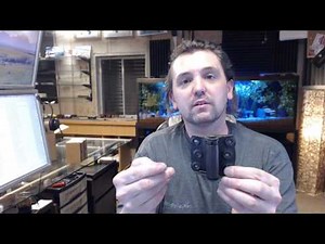 Bommer 2920-640 2.75x2.75in Screen Door Spring Hinge-Full Surface-Steel Base-Adjustable Tension