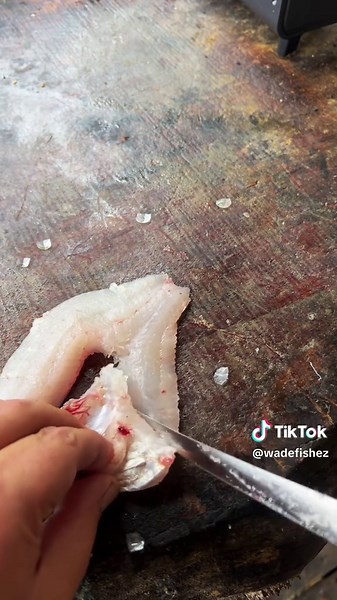 Catch and Cook: Transforming Your Freshwater Fishing