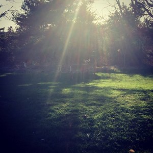 1.4K views · 74 reactions | The SUNY Canton 歷 sure are friendly. | SUNY Canton | Facebook