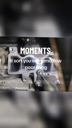 2025 Season Highlights and Recap