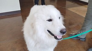 89K views · 1.6K reactions | 6/24/24 - IN MEMORY OF ROGER FROM THE...