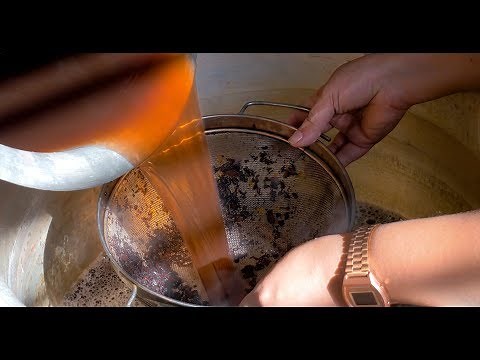 A sustainable brand that makes clothes out of milk, lotus and eucalyptus