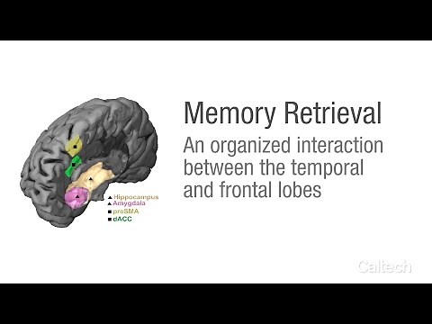 How Memories are Retrieved
