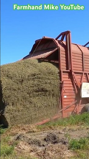 Making stacks of alfalfa in South Dakota.