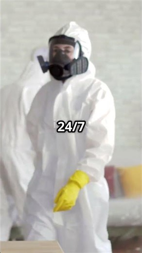 Emergency Pest Control Dallas, TX – Call Now