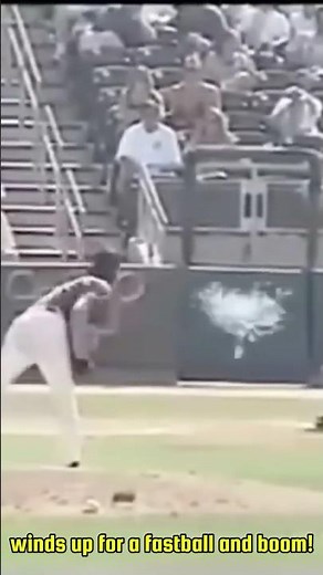 That Time Randy Johnson Smoked a Bird