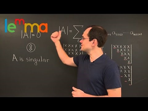 Linear Algebra 14TBD: The Determinant is Zero ⇔ Matrix Is Singular