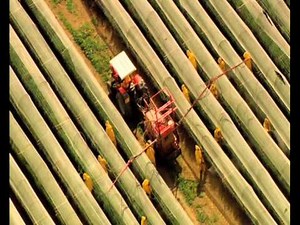 Desertification UNCCD (en)