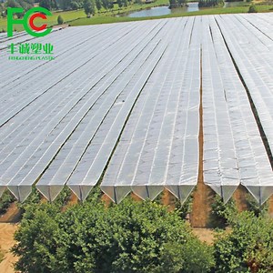 [Hot Item] Automatic Rain Cover Film for Agriculture Orchard Cherry Plum Grape Fruit
