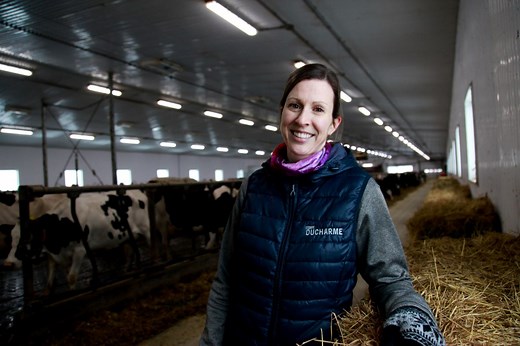 Should you be worried about hormones in milk? | Dairy Farmers of Canada