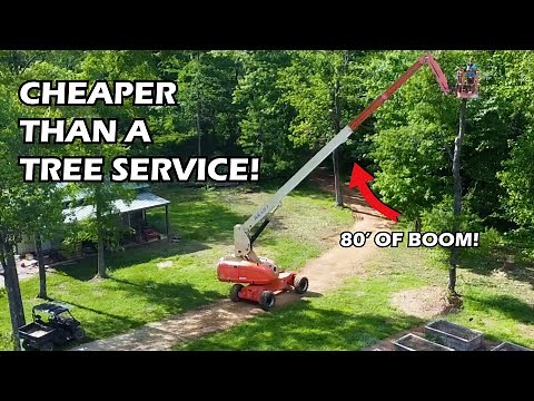 Homeowner Rents Massive Lift for DIY Tree Removal