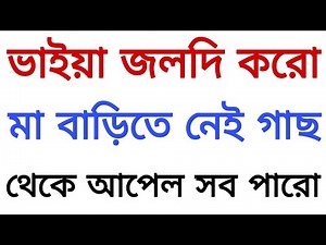 New Emotional Story | Golpo Writing | Motivational Story | Heart Touching Bangla Story Ep02